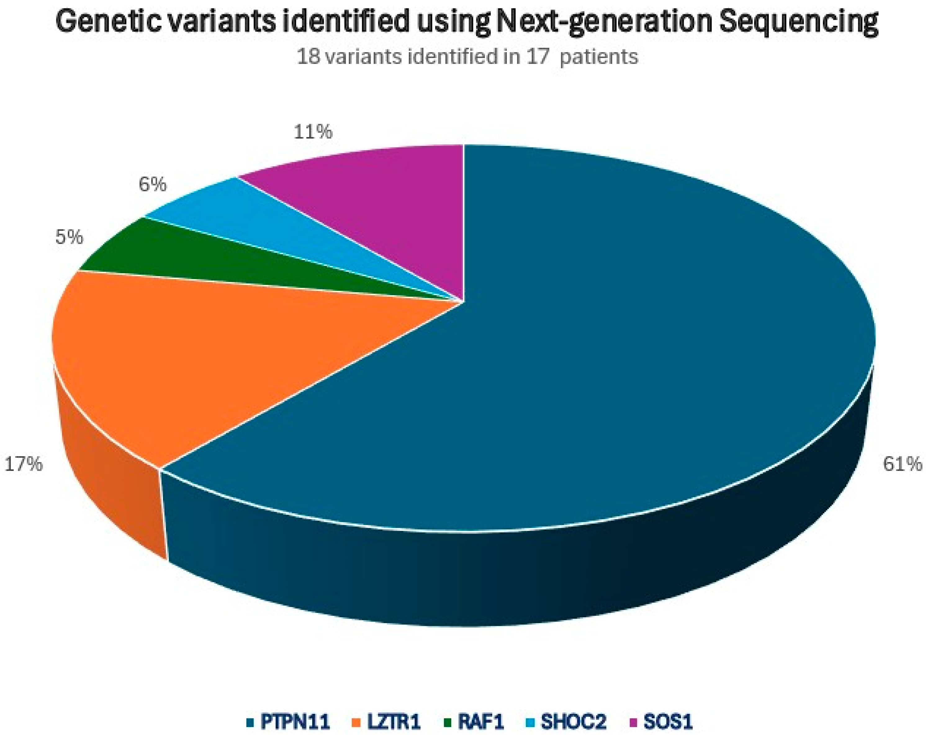 Molecular Diagnosis and Phenotypic Variability of Noonan Syndrome ...