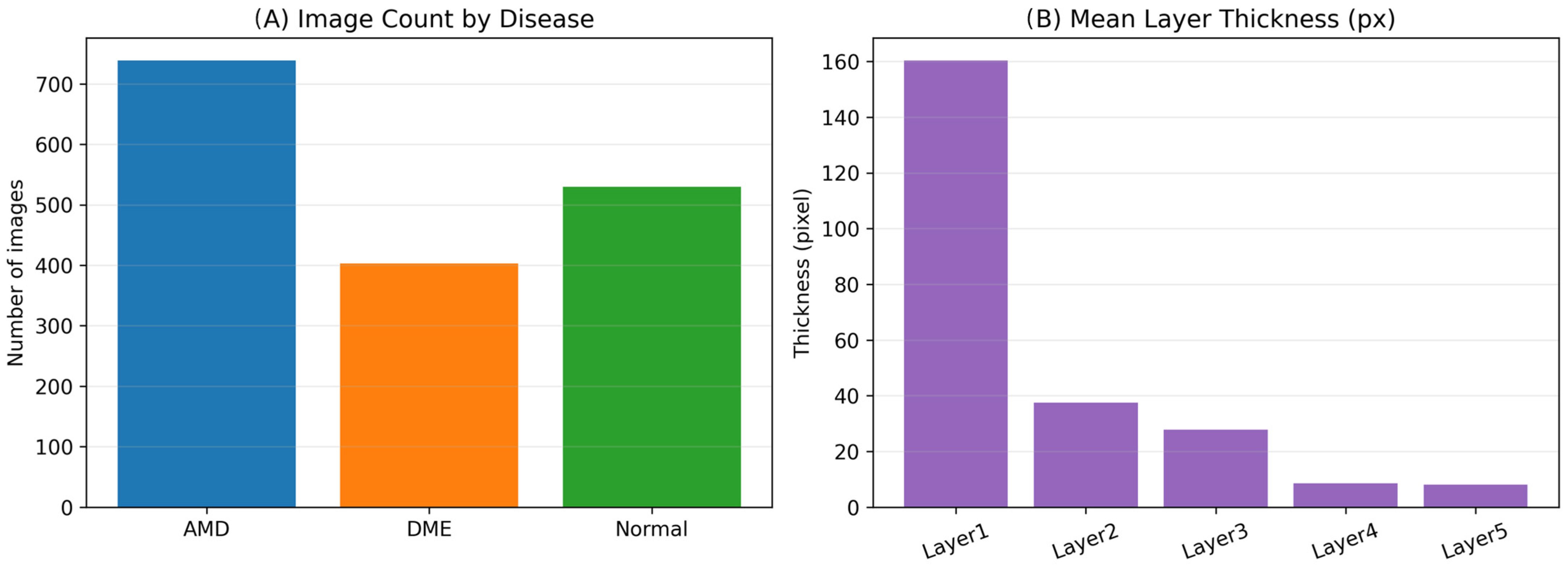 Query-Driven Retinal Layer Segmentation in OCT Using Cross-Attentive ...