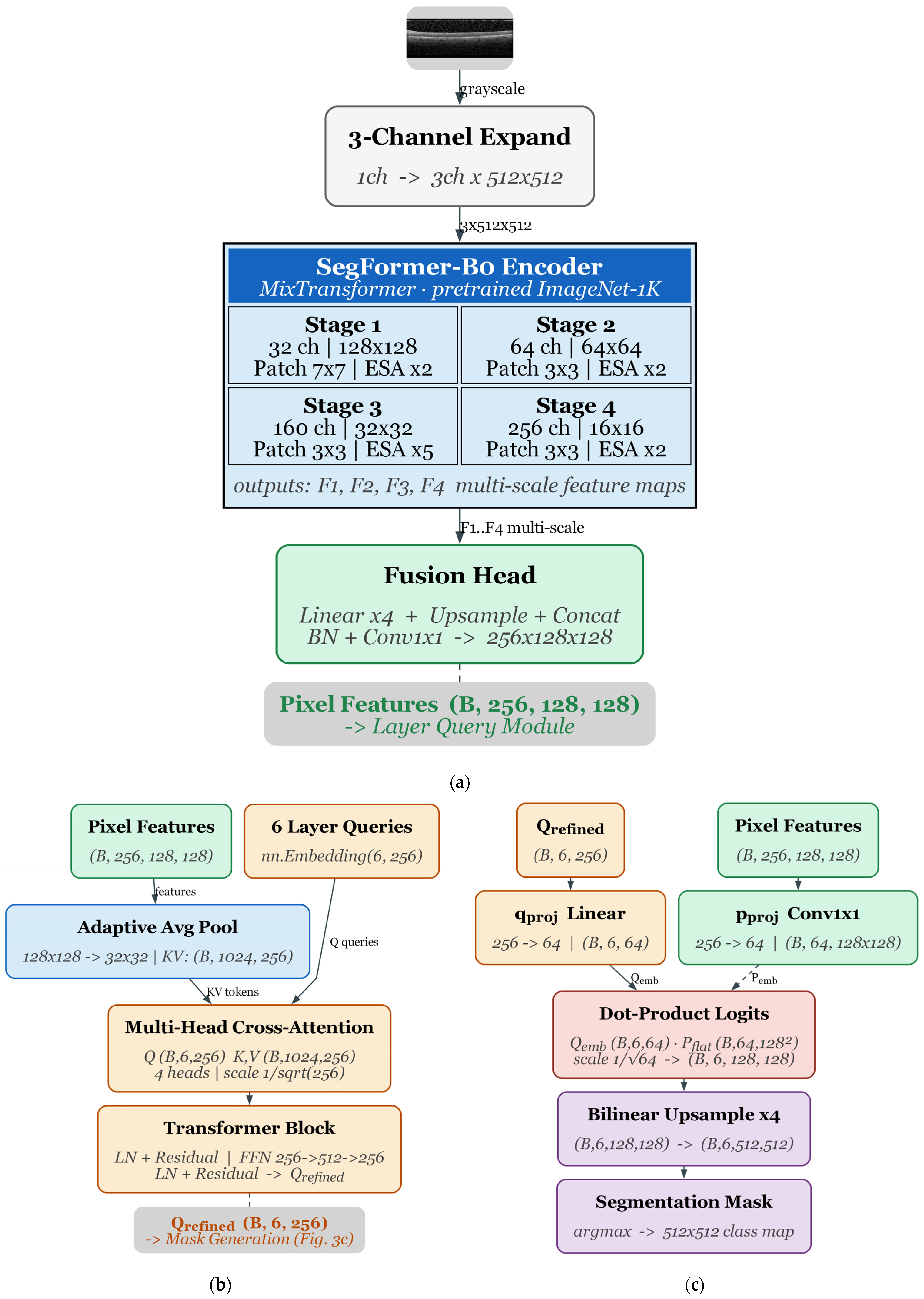 Query-Driven Retinal Layer Segmentation in OCT Using Cross-Attentive ...