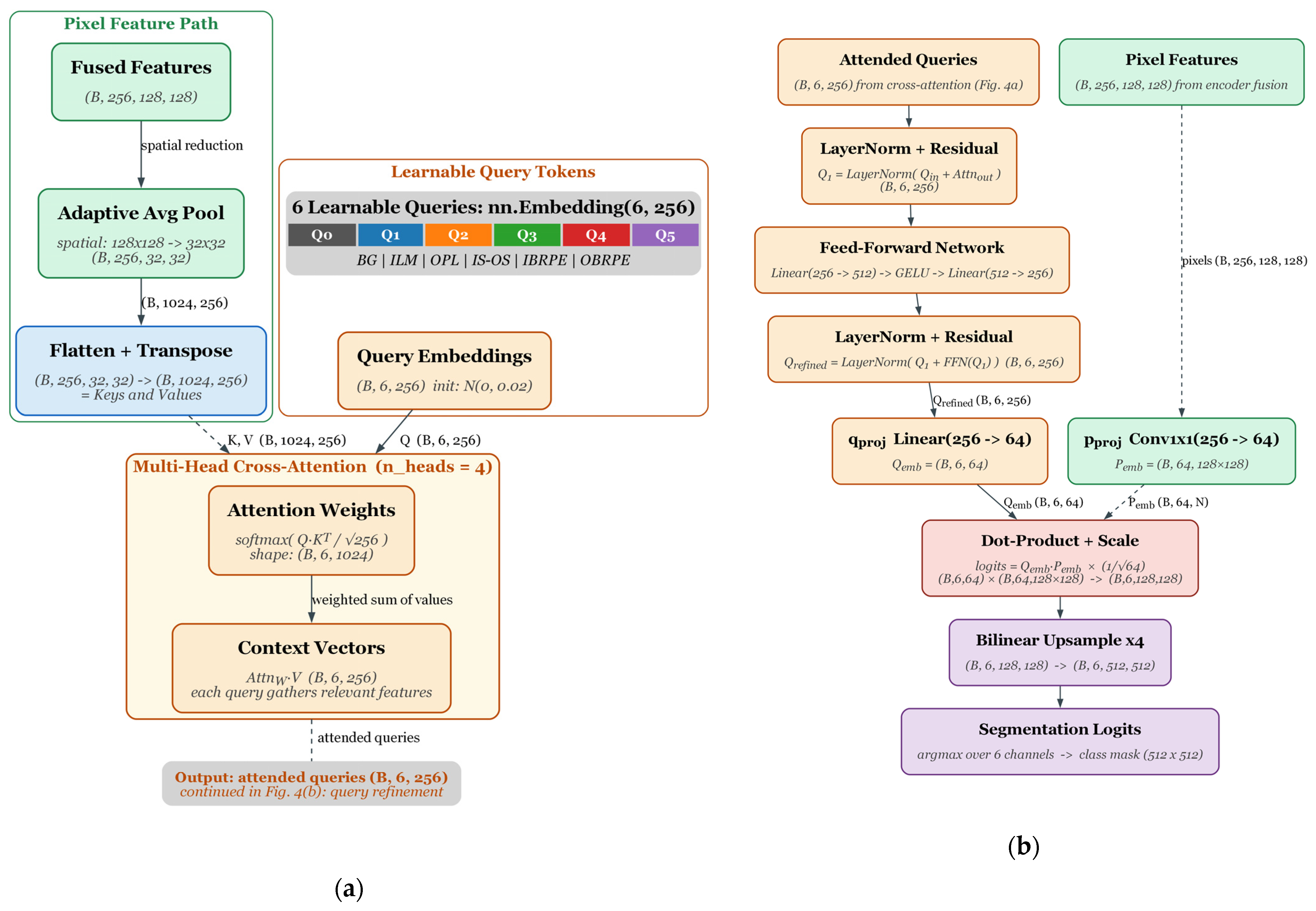 Query-Driven Retinal Layer Segmentation in OCT Using Cross-Attentive ...