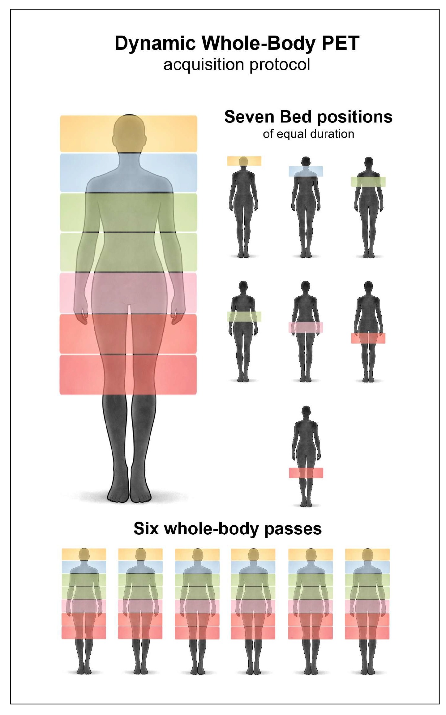 Whole-Body Dynamic Positron Emission and Computed Tomography (WBD-PET ...