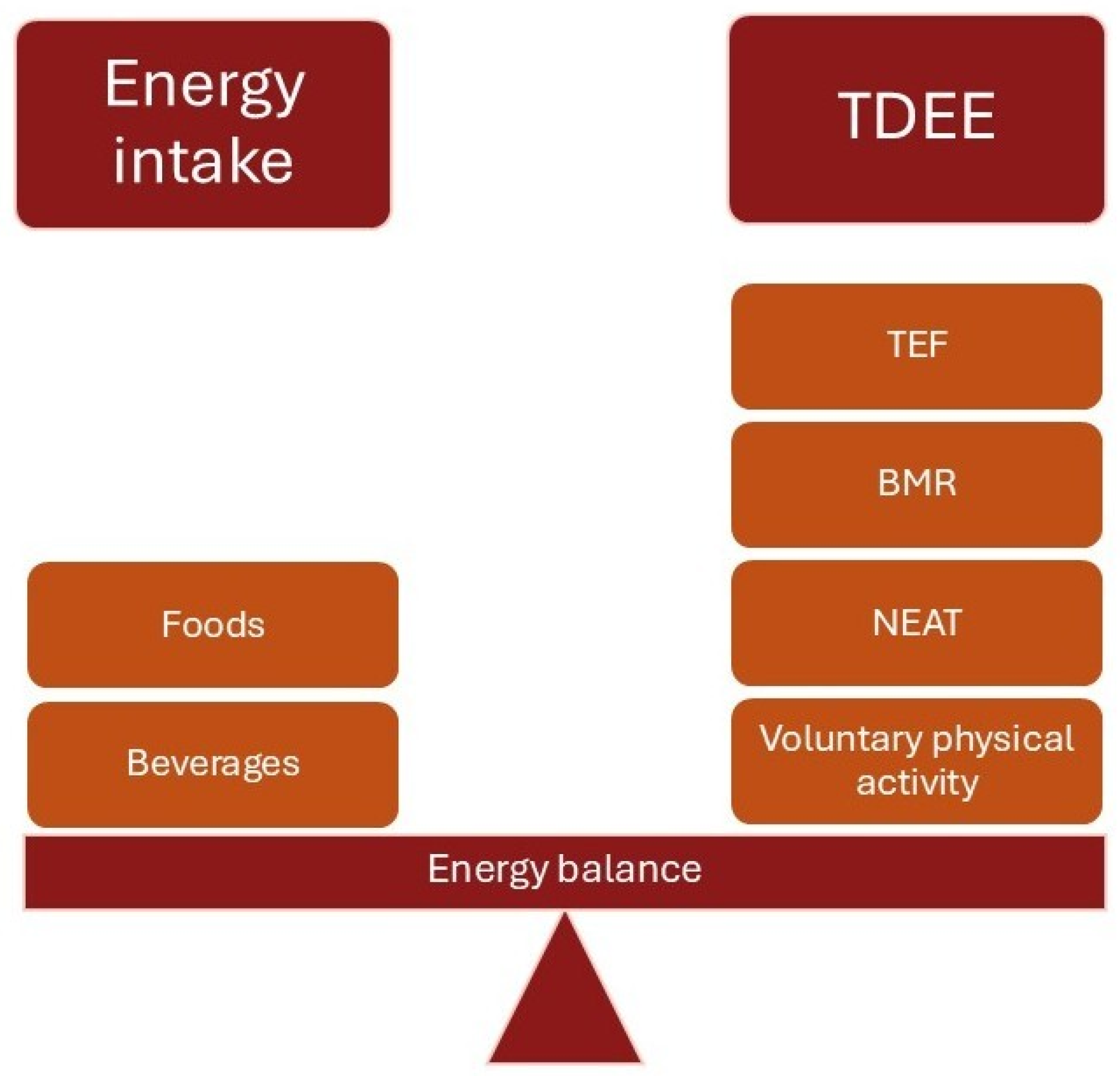 Diet Protocols and Weight Management Products: An Evidence-Based ...