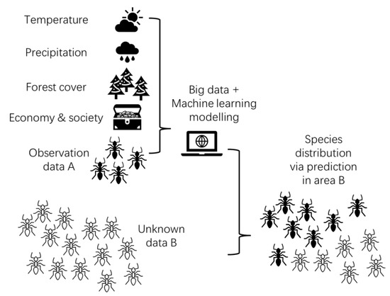 Machine Learning and Its Applications in Studying the Geographical ...