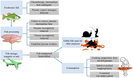 Parasites in Imported Edible Fish and a Systematic Review of the ...