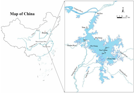 Non-Additive Effects of Inundation Duration and Soil Depth on Seed ...