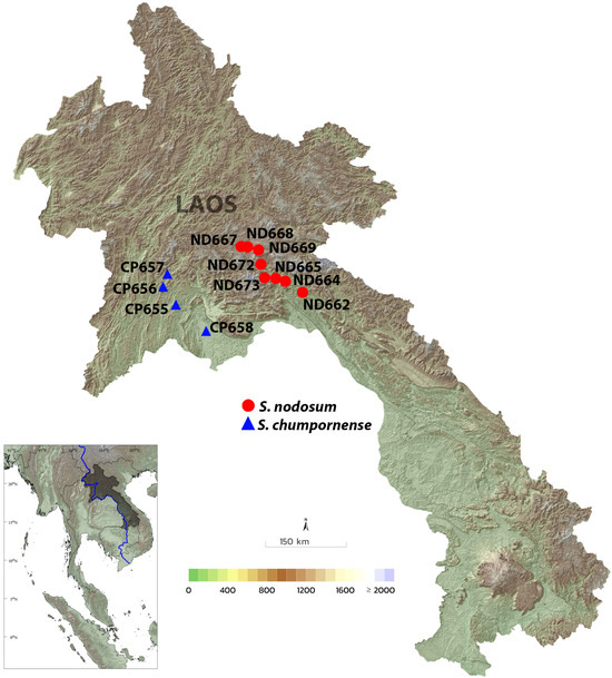 Genetic Characterization and Breeding Habitats of Black Fly (Diptera ...