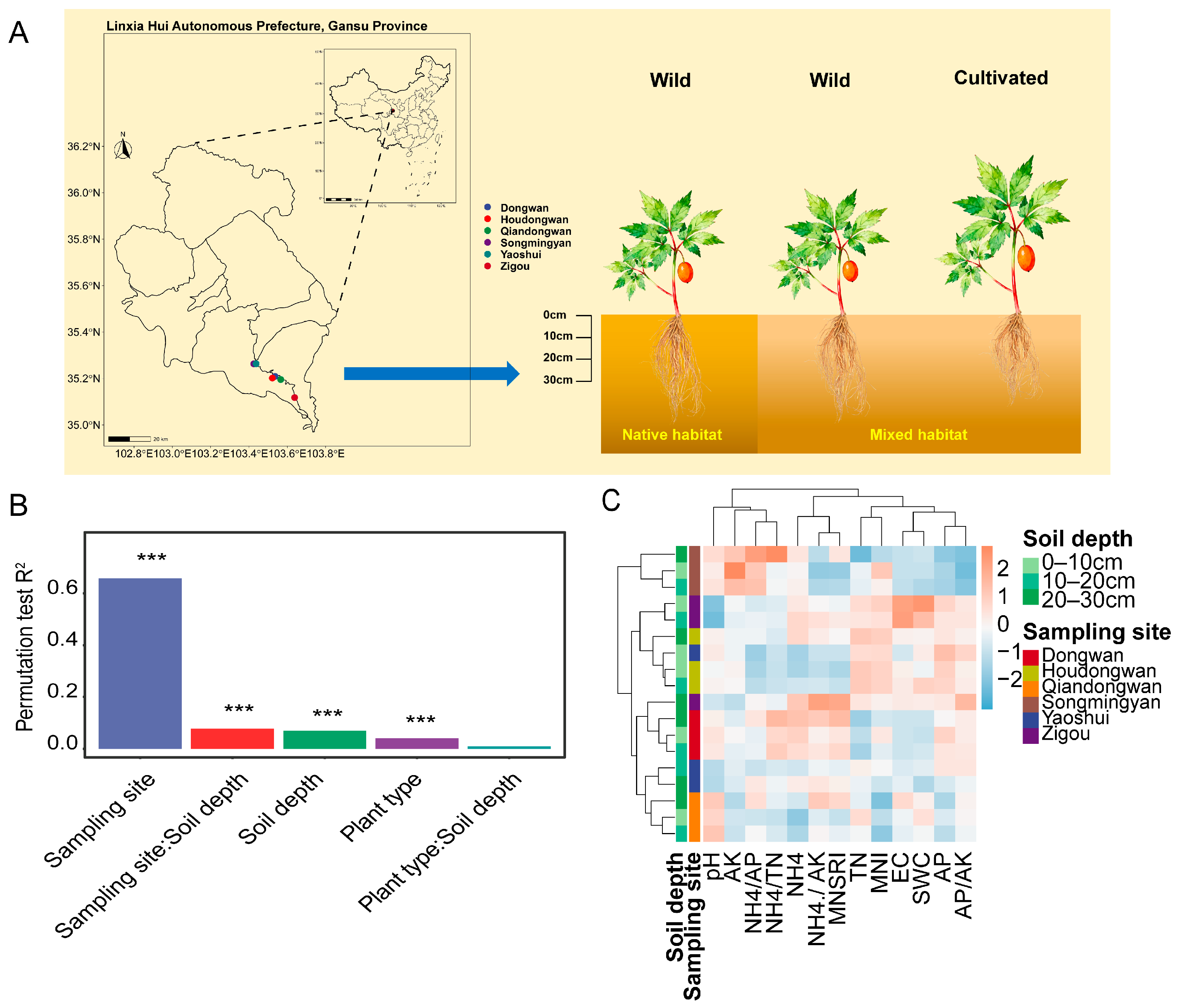 Artificial Cultivation Reshapes Soil Nutrient Heterogeneity, Microbial ...