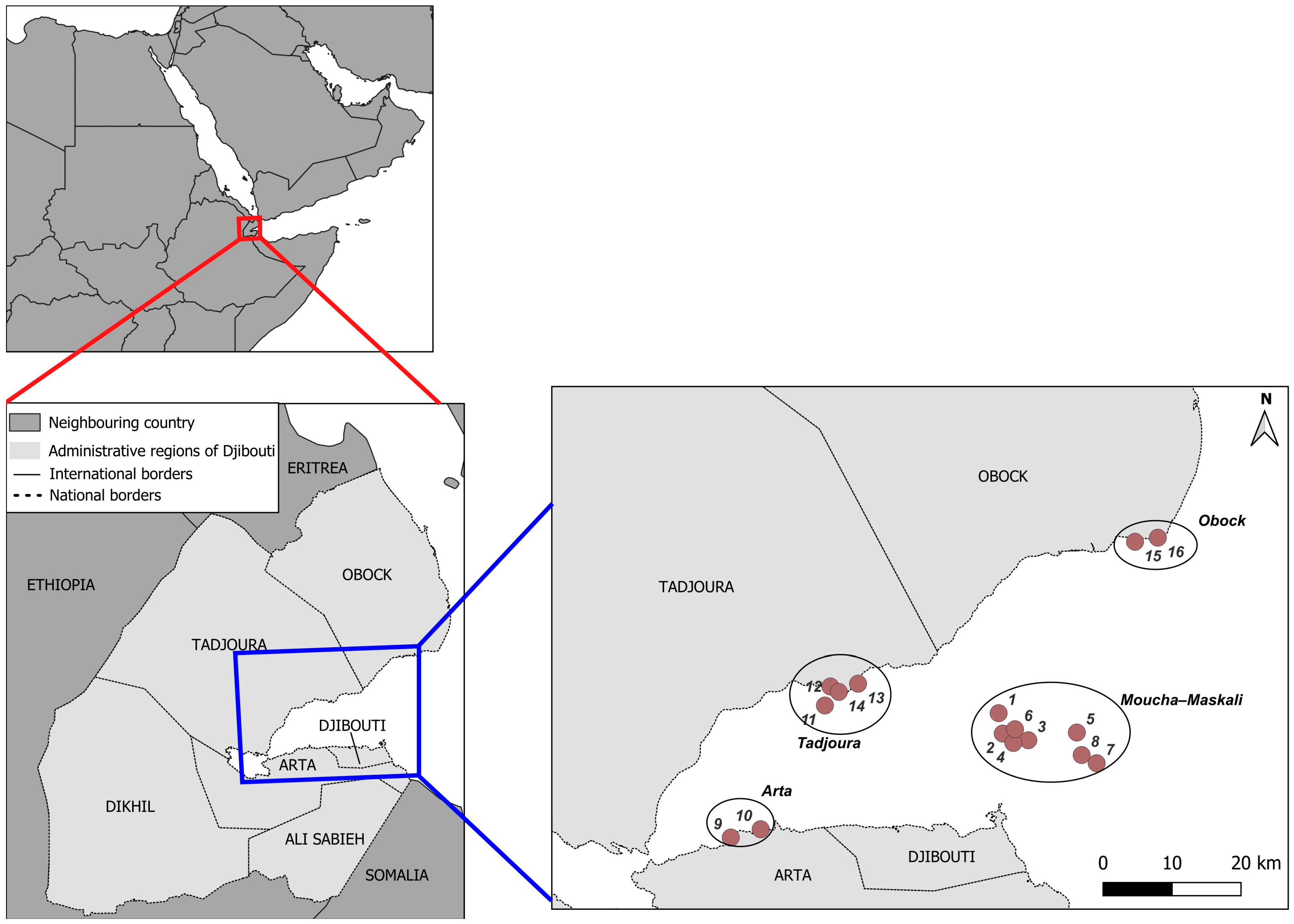 Thermal Anomalies Trigger Widespread Coral Bleaching in Djibouti in ...