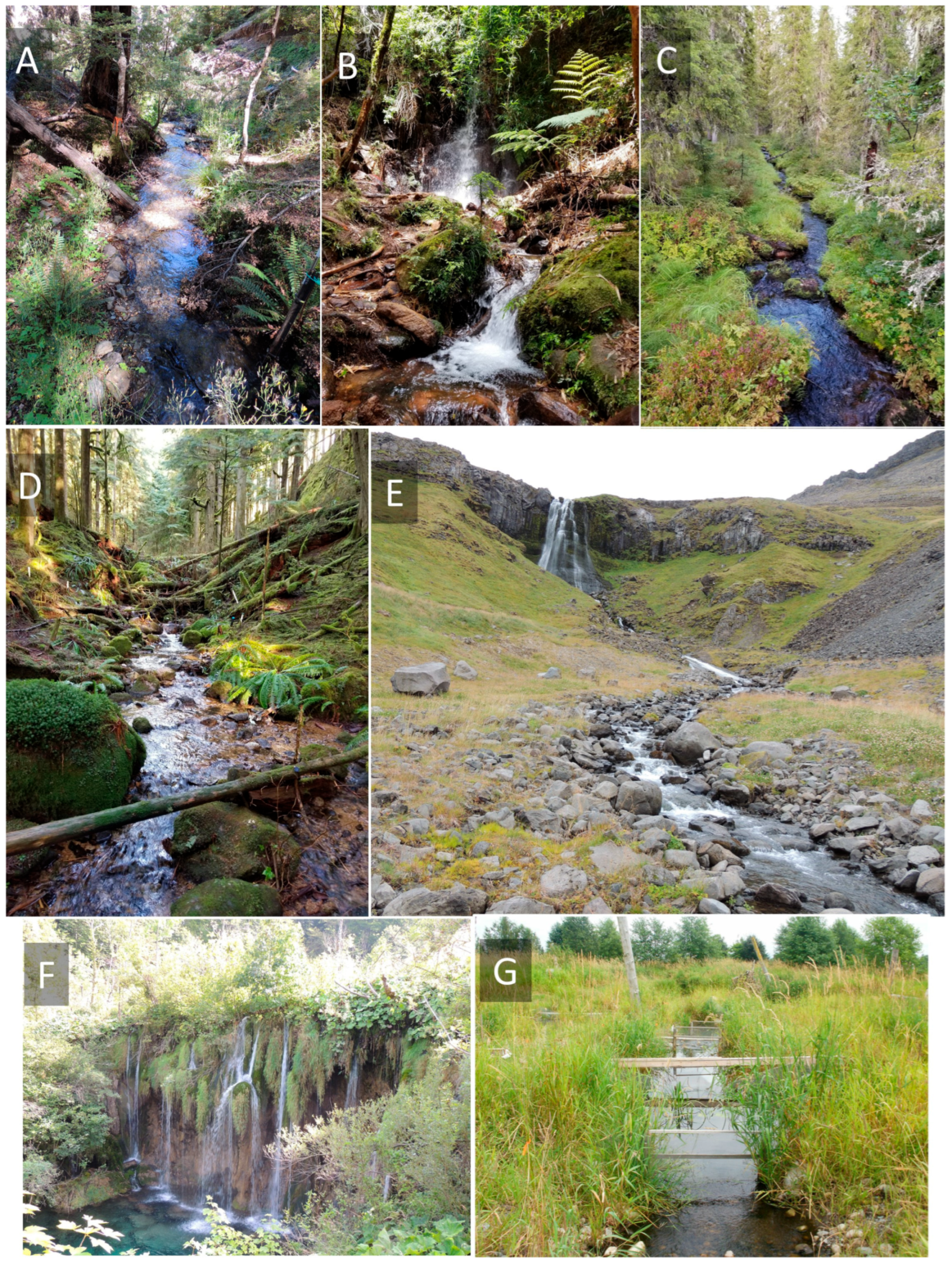 An Assessment of the Mechanistic Basis for the High Endemism and ...
