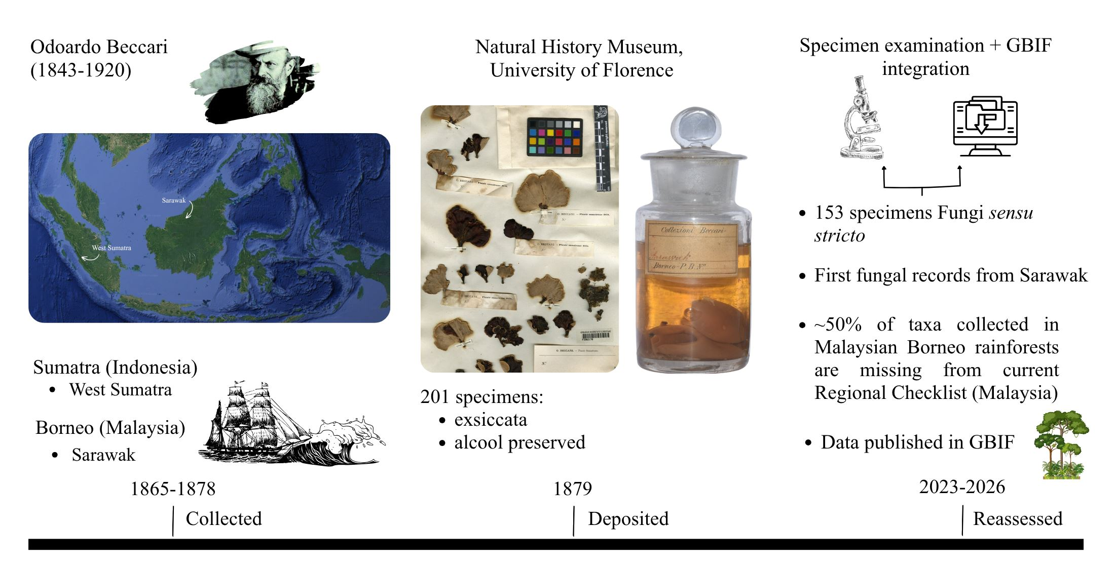 From Historical Collection to Digital Data: A 150-Year-Old Mycological ...