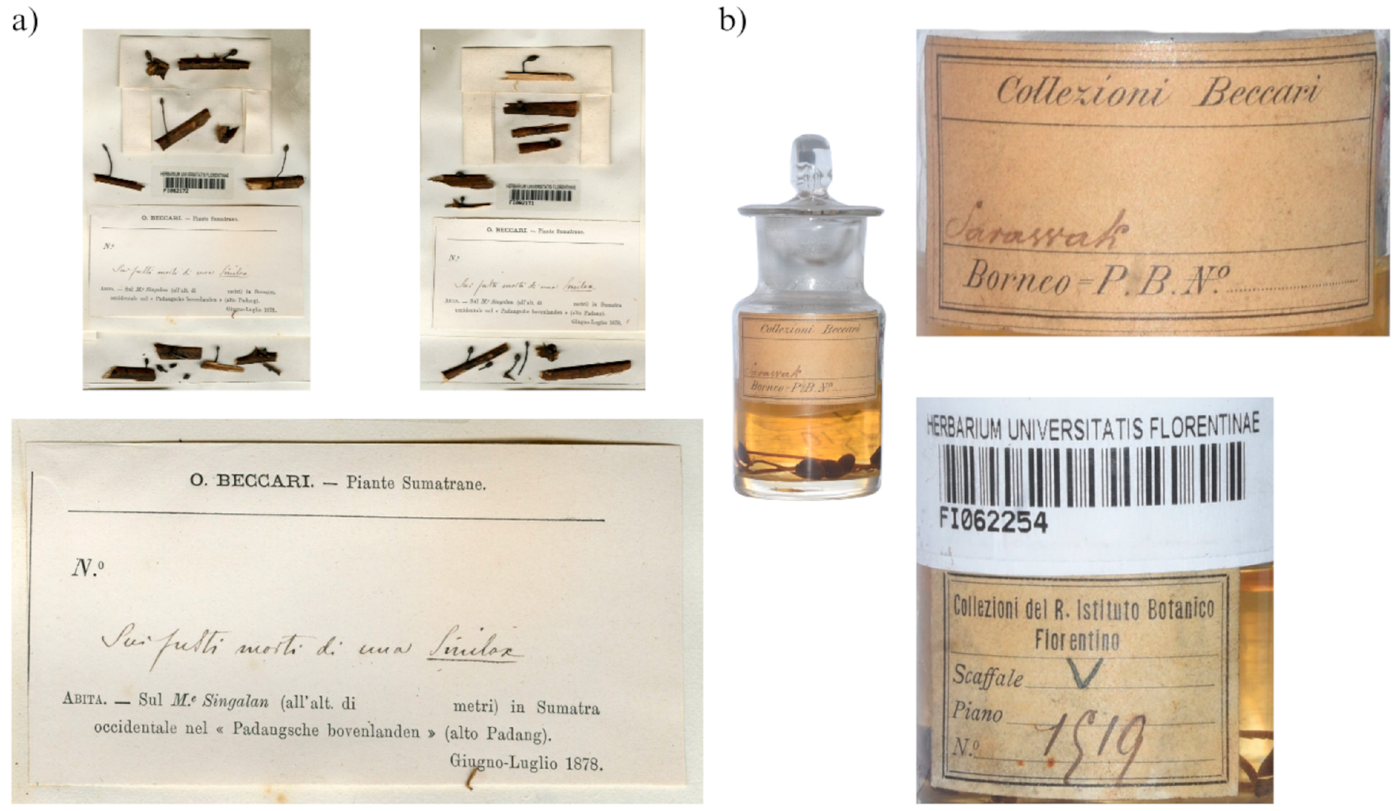 From Historical Collection to Digital Data: A 150-Year-Old Mycological ...