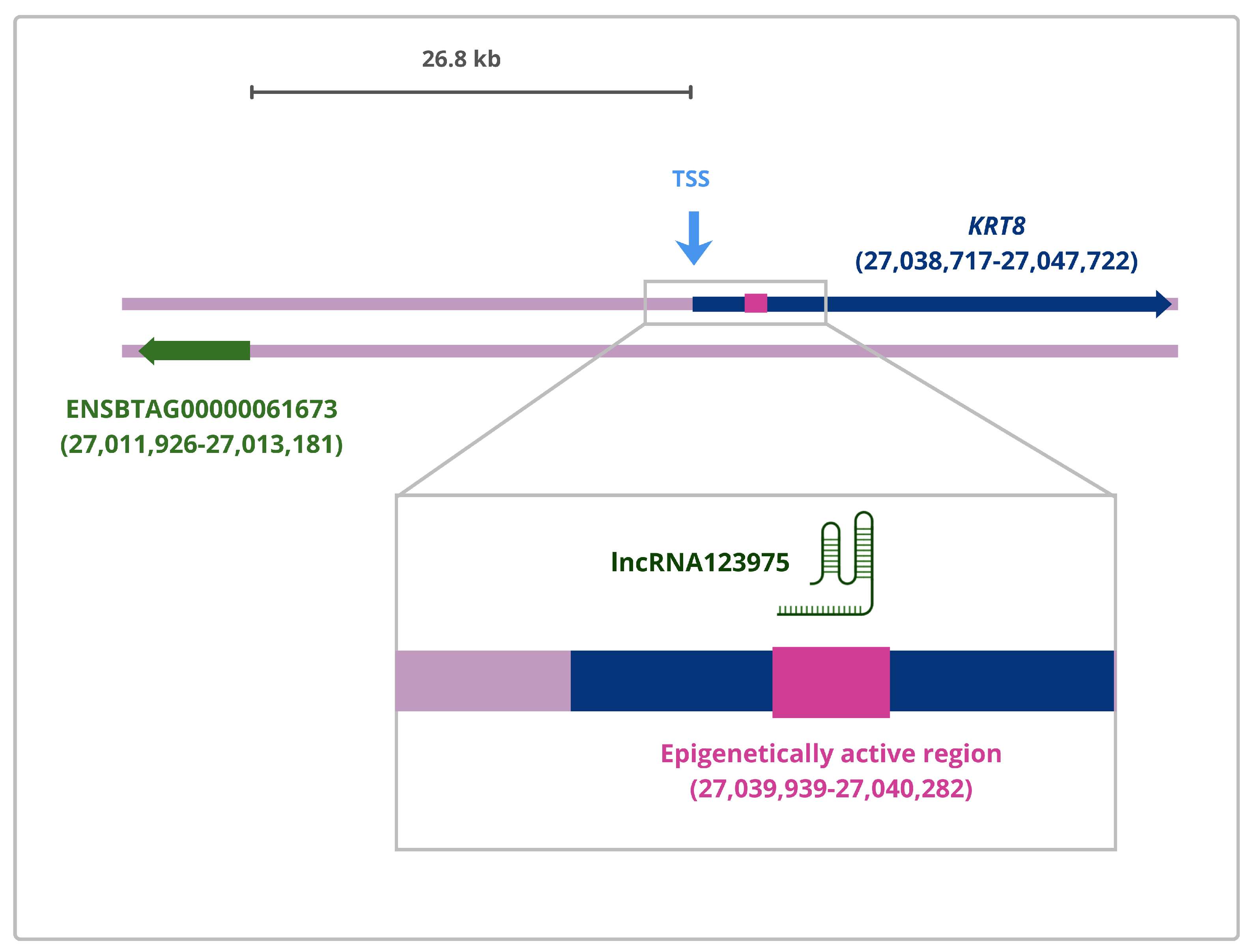 Computational Prediction of DNA-RNA Triplex Formation Sites Reveals ...