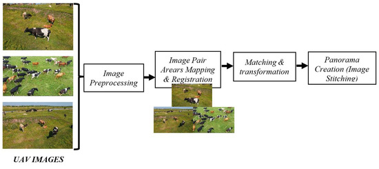 SIFT-CNN Pipeline in Livestock Management: A Drone Image Stitching ...
