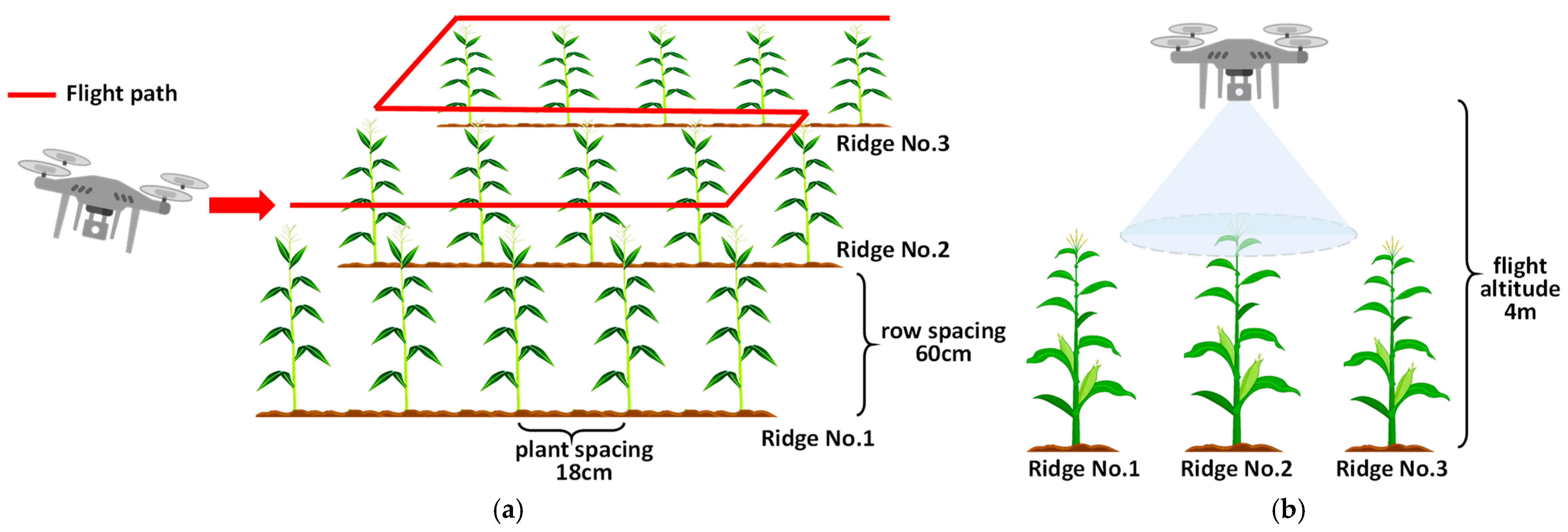 A Phenotyping Perception Mechanism of Fusing Spatial and Channel ...