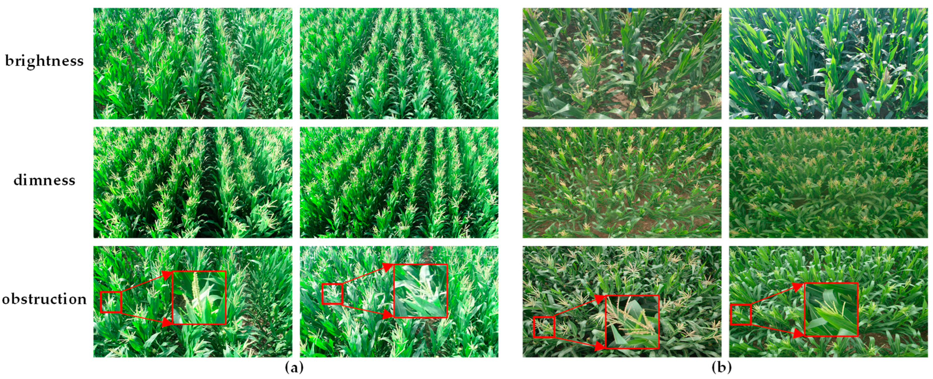 A Phenotyping Perception Mechanism of Fusing Spatial and Channel ...