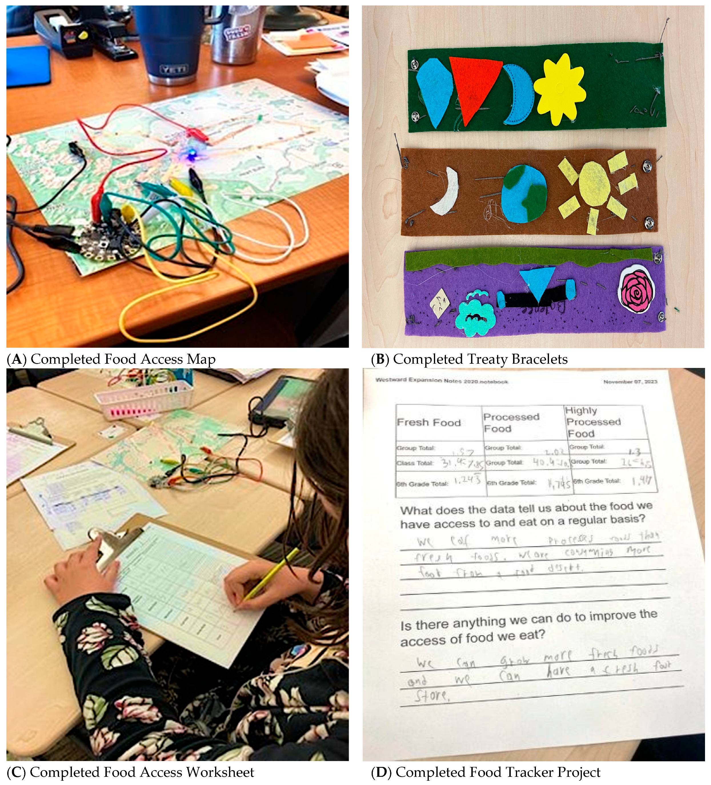 Critical Student Agency in an Integrated Social Studies Unit