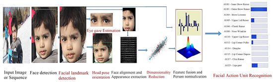 Electronics | Free Full-Text | Facial Expression Recognition of ...