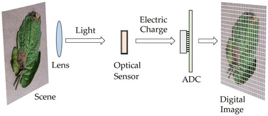 Electronics | Free Full-Text | Detection of Diseases in Tomato Leaves ...