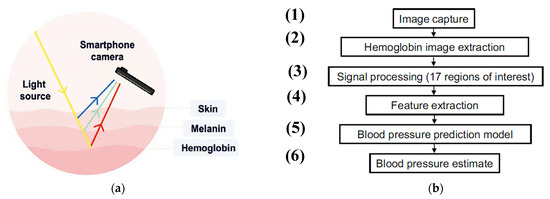 Innovative IoT Solutions and Wearable Sensing Systems for Monitoring ...