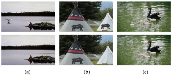 A Novel Deep Learning Architecture with Multi-Scale Guided Learning for ...