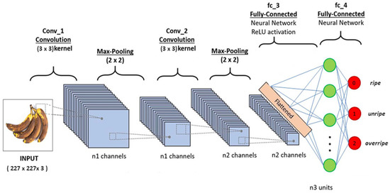 Prediction of Fruit Maturity, Quality, and Its Life Using Deep Learning Algorithms