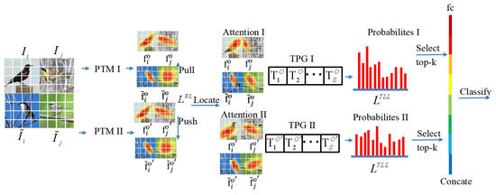An Integrated Transformer with Collaborative Tokens Mining for Fine-Grained Recognition