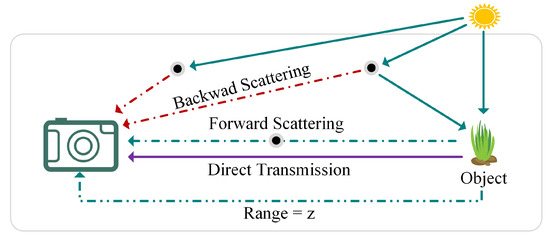 Electronics | Free Full-Text | Underwater Image Restoration through ...