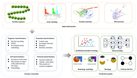 Advances in Computational Methods for Protein–Protein Interaction ...