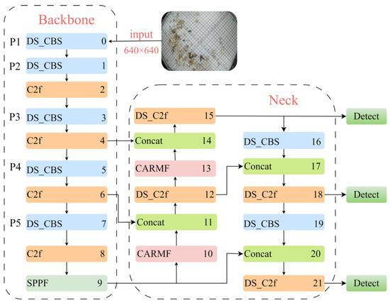 MACNet: A More Accurate and Convenient Pest Detection Network