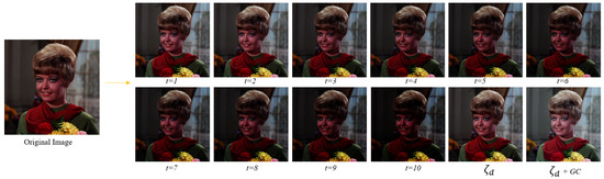 Electronics | Free Full-Text | Self-Supervised and Supervised Image Enhancement Networks with ...