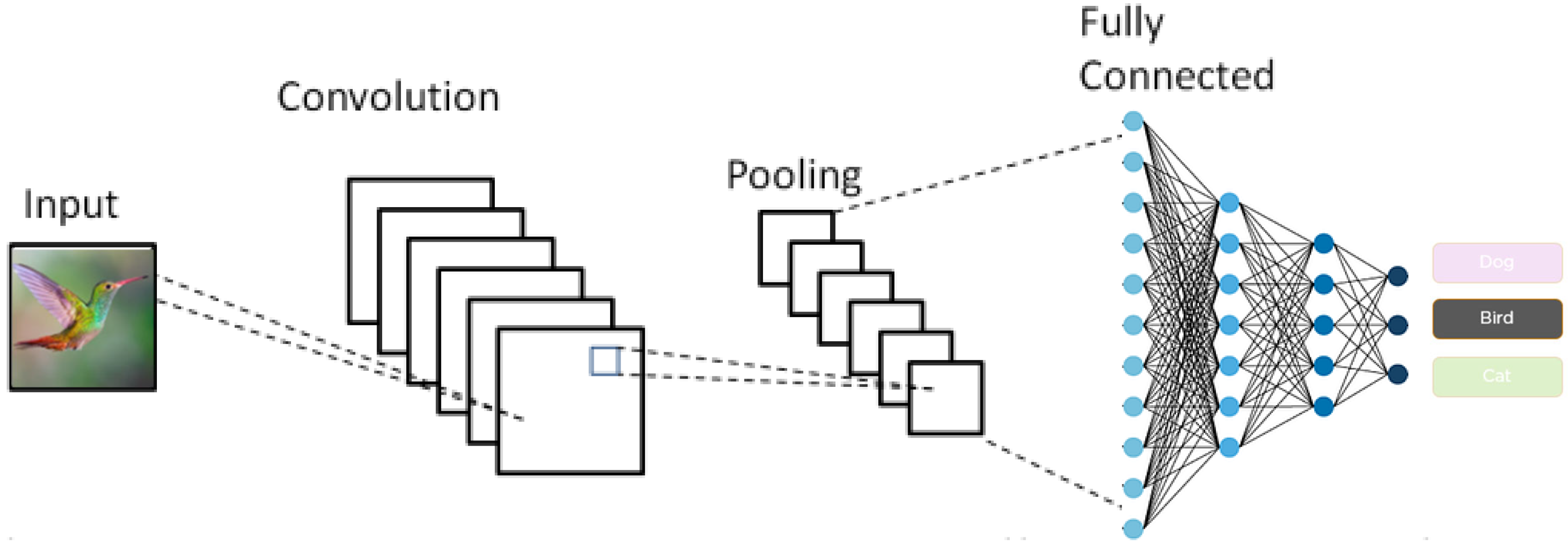 Wavelet-Based Fusion for Image Steganography Using Deep Convolutional Neural Networks