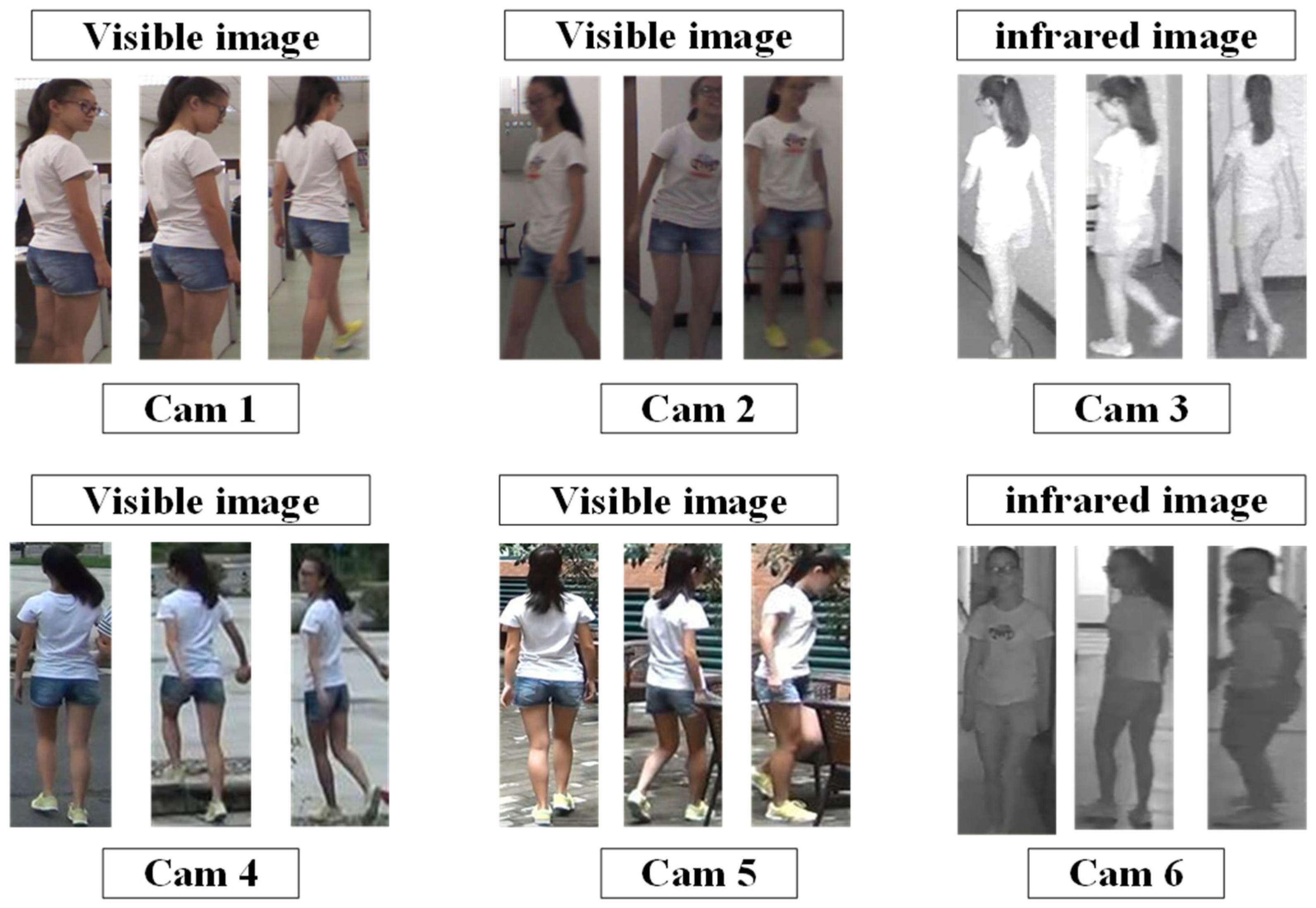 Zero-Shot Infrared Domain Adaptation for Pedestrian Re-Identification ...