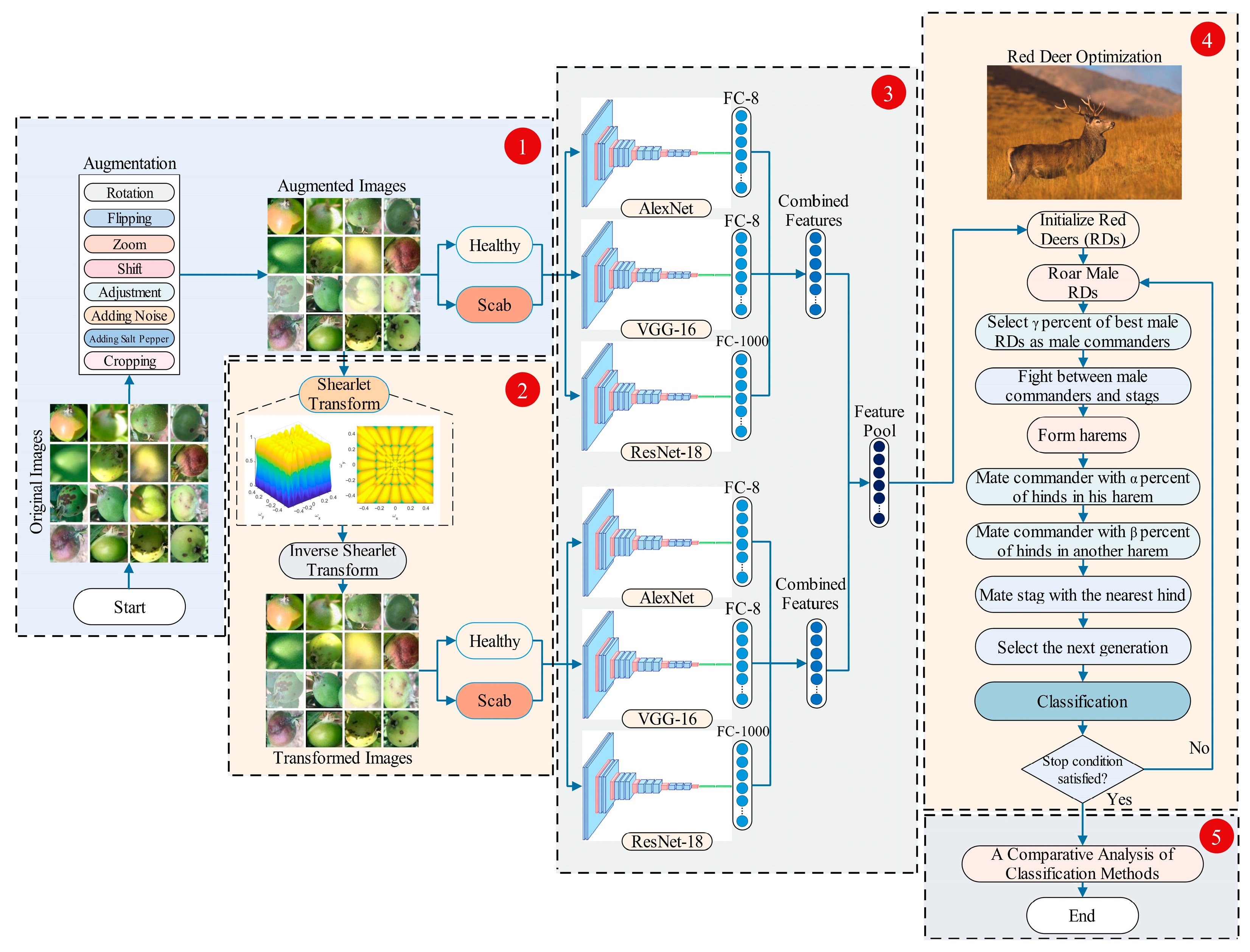Apple Scab Classification Using 2D Shearlet Transform with Integrated ...