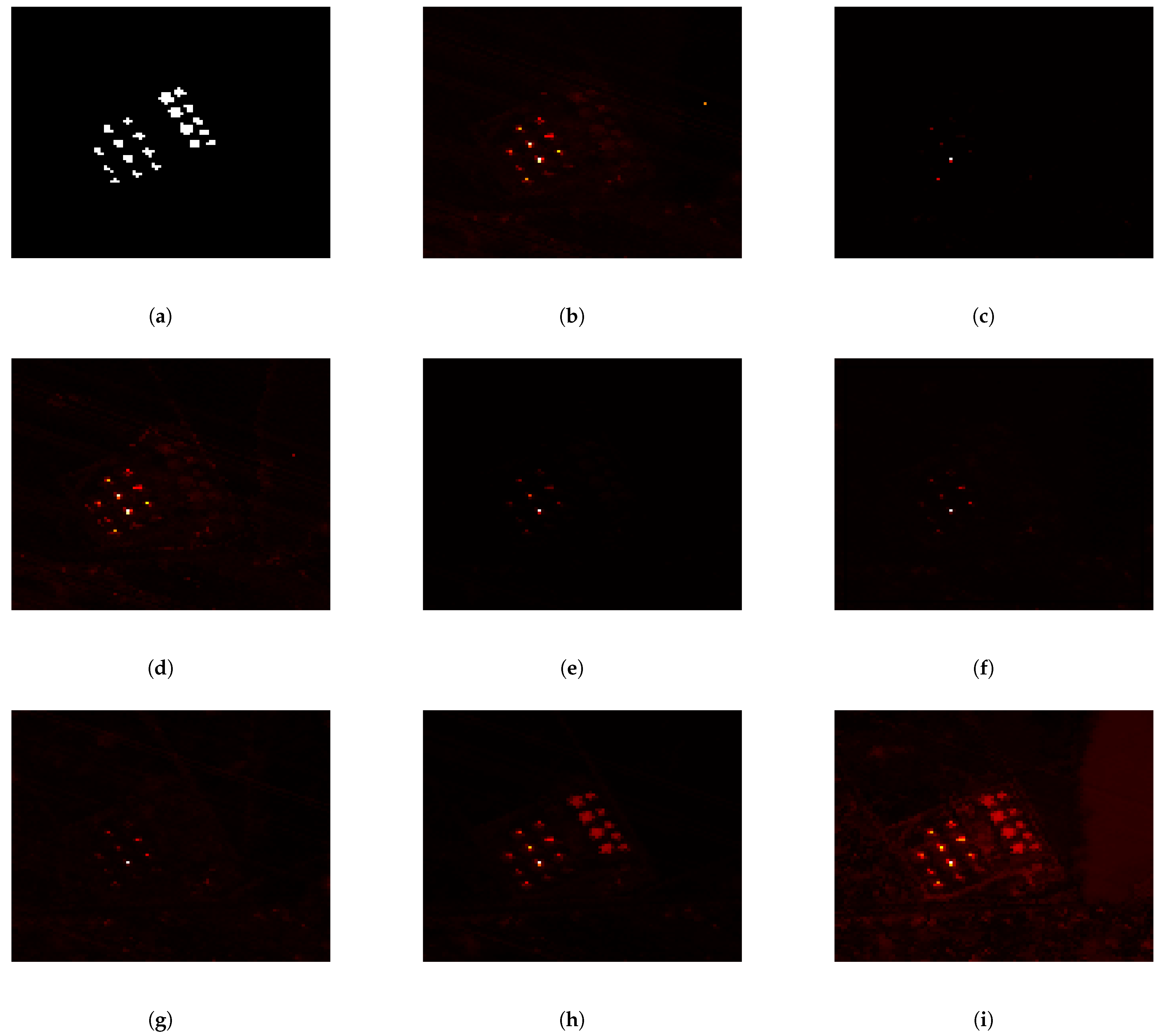 Hyperspectral Images Anomaly Detection Based on Rapid Collaborative ...
