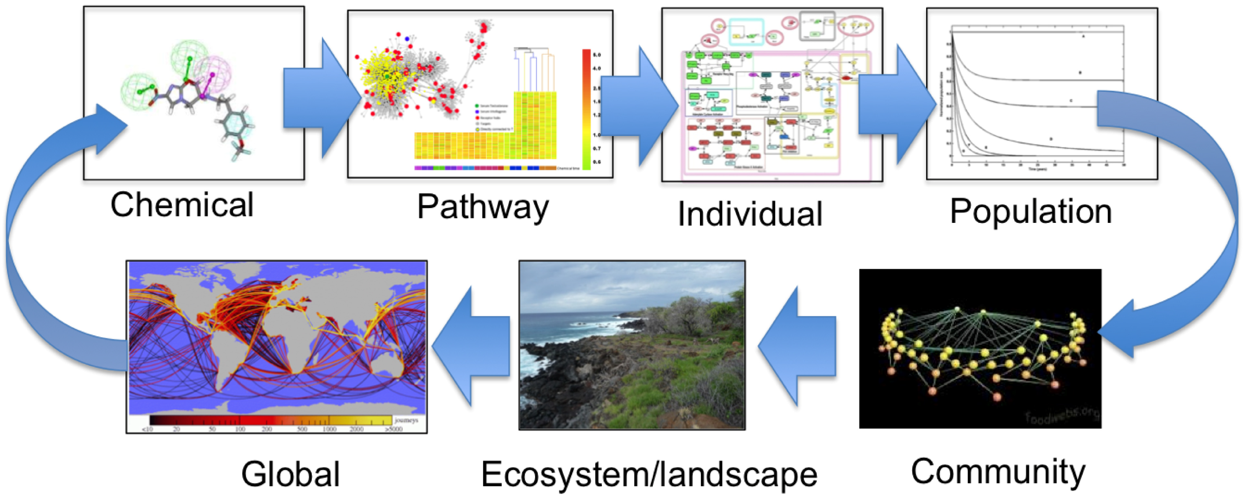 Interoperability to Improve Science-Based Decision Making: Adapting a ...