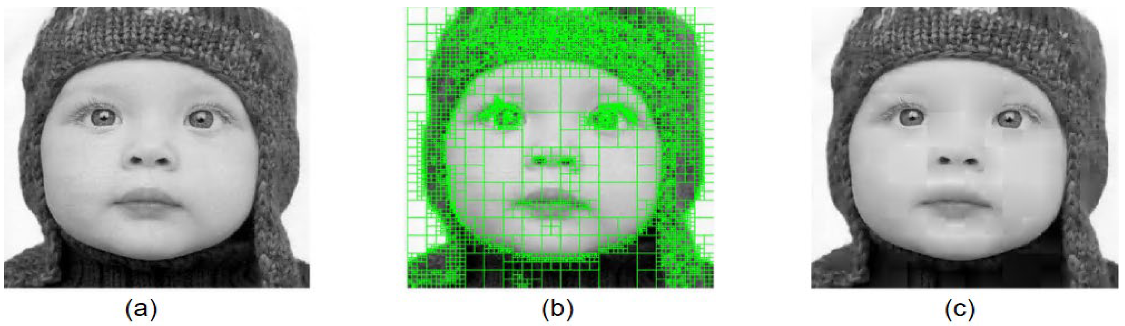 Fast Fractal Image Compression Using Non-Uniform Partition