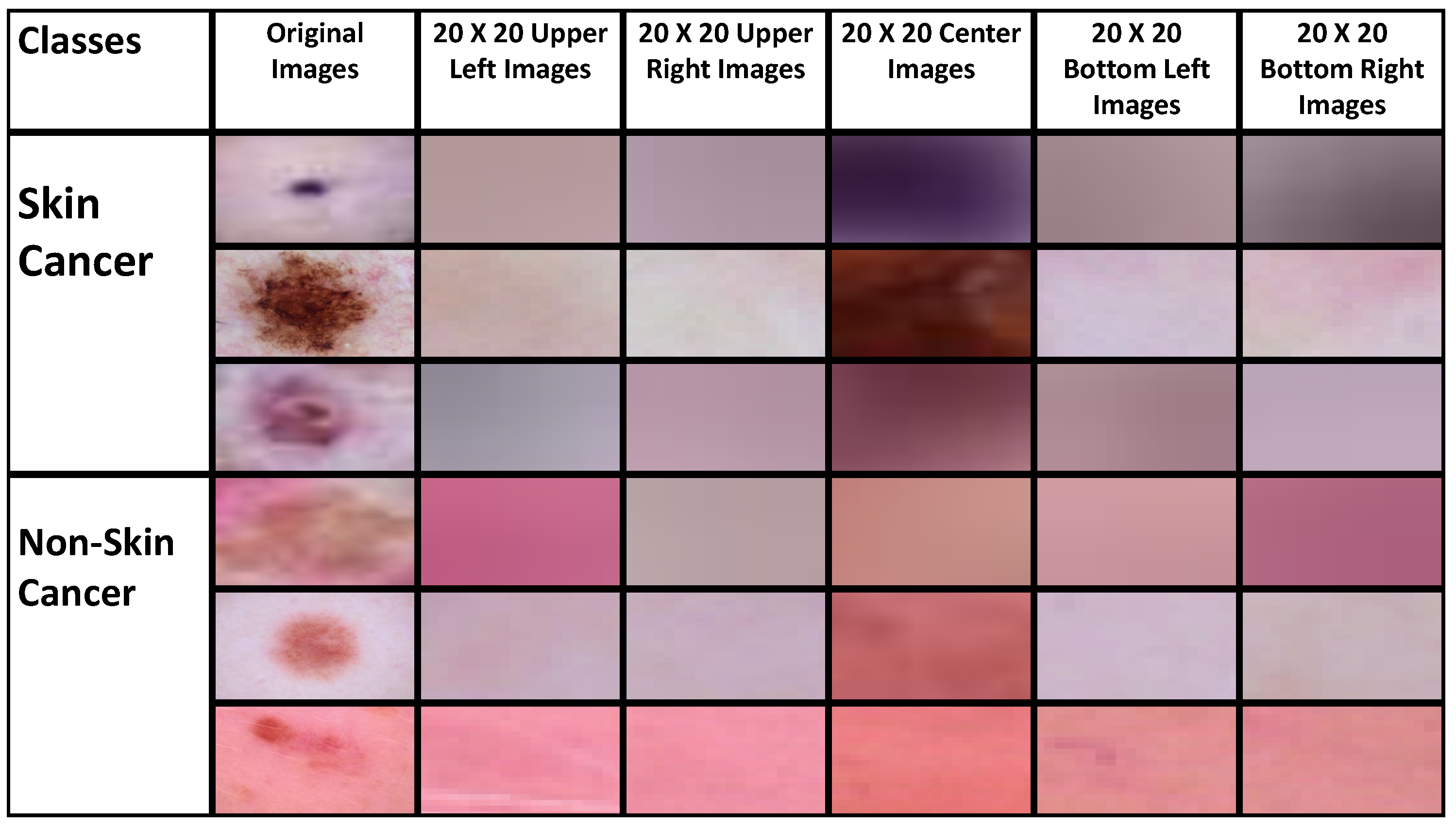Unmasking Biases and Reliability Concerns in Convolutional Neural ...
