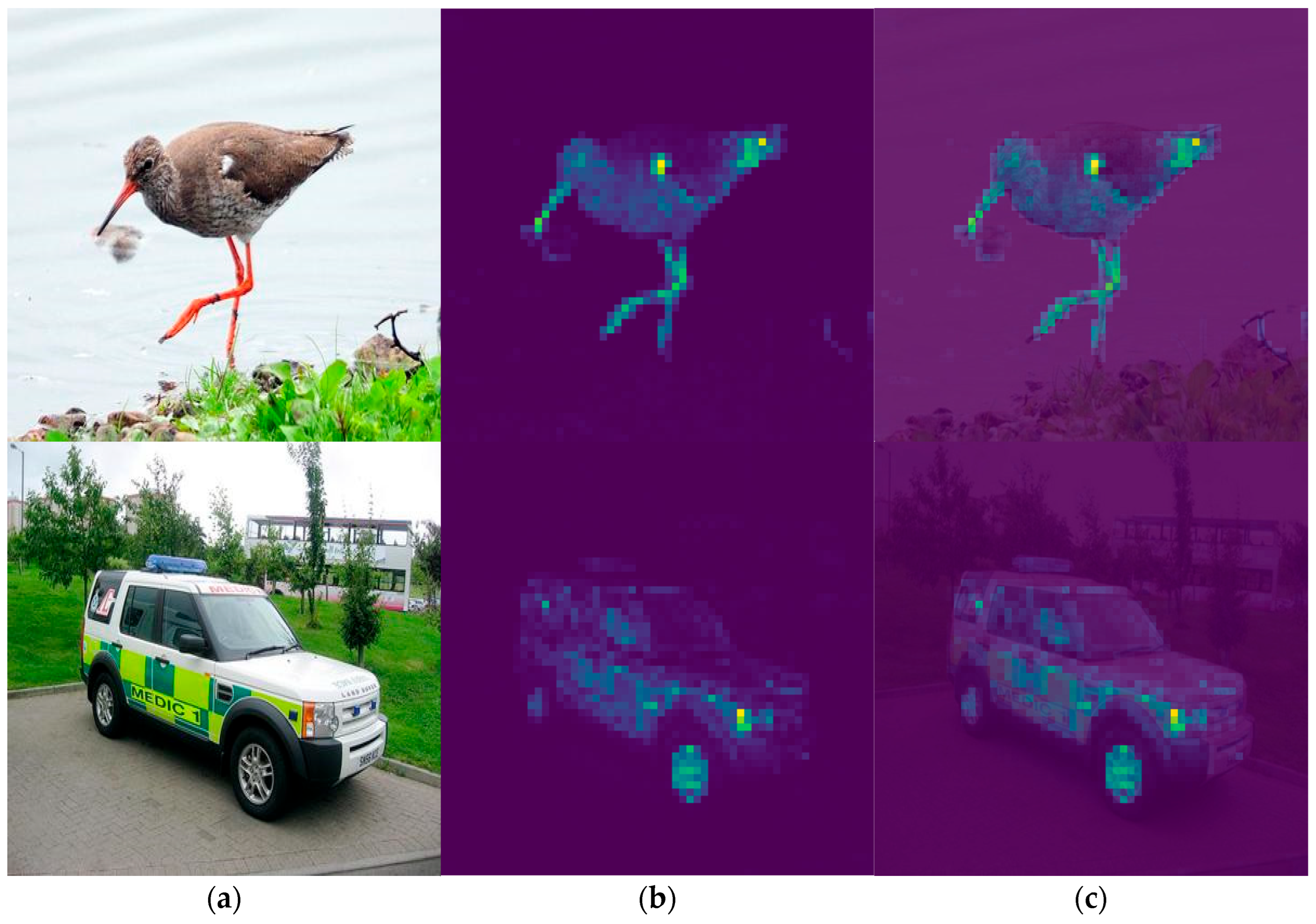 Learning Modality Complementarity for RGB-D Salient Object Detection ...