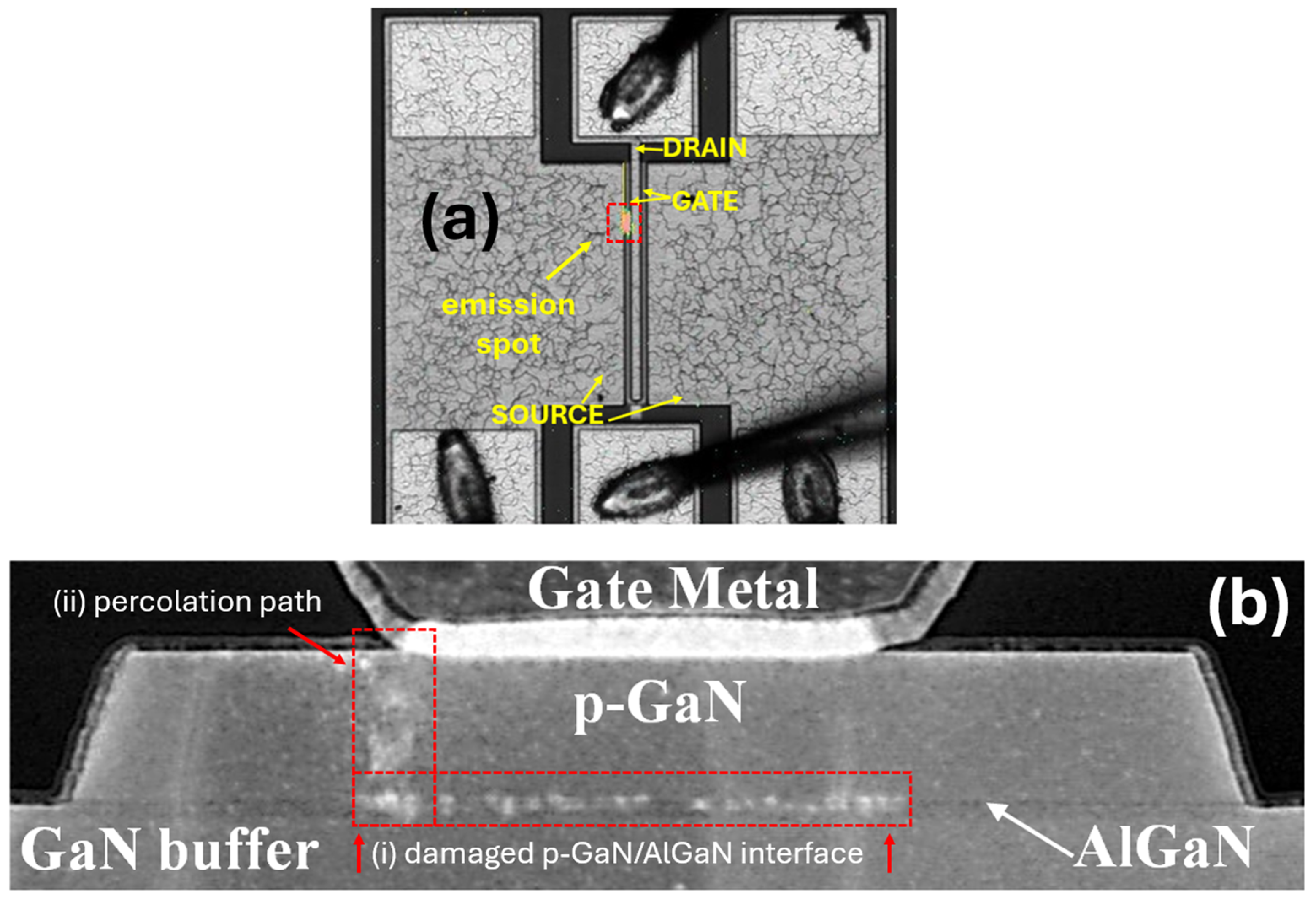 Study of Gate Leakage Current and Failure Mechanism for Schottky-Type p ...
