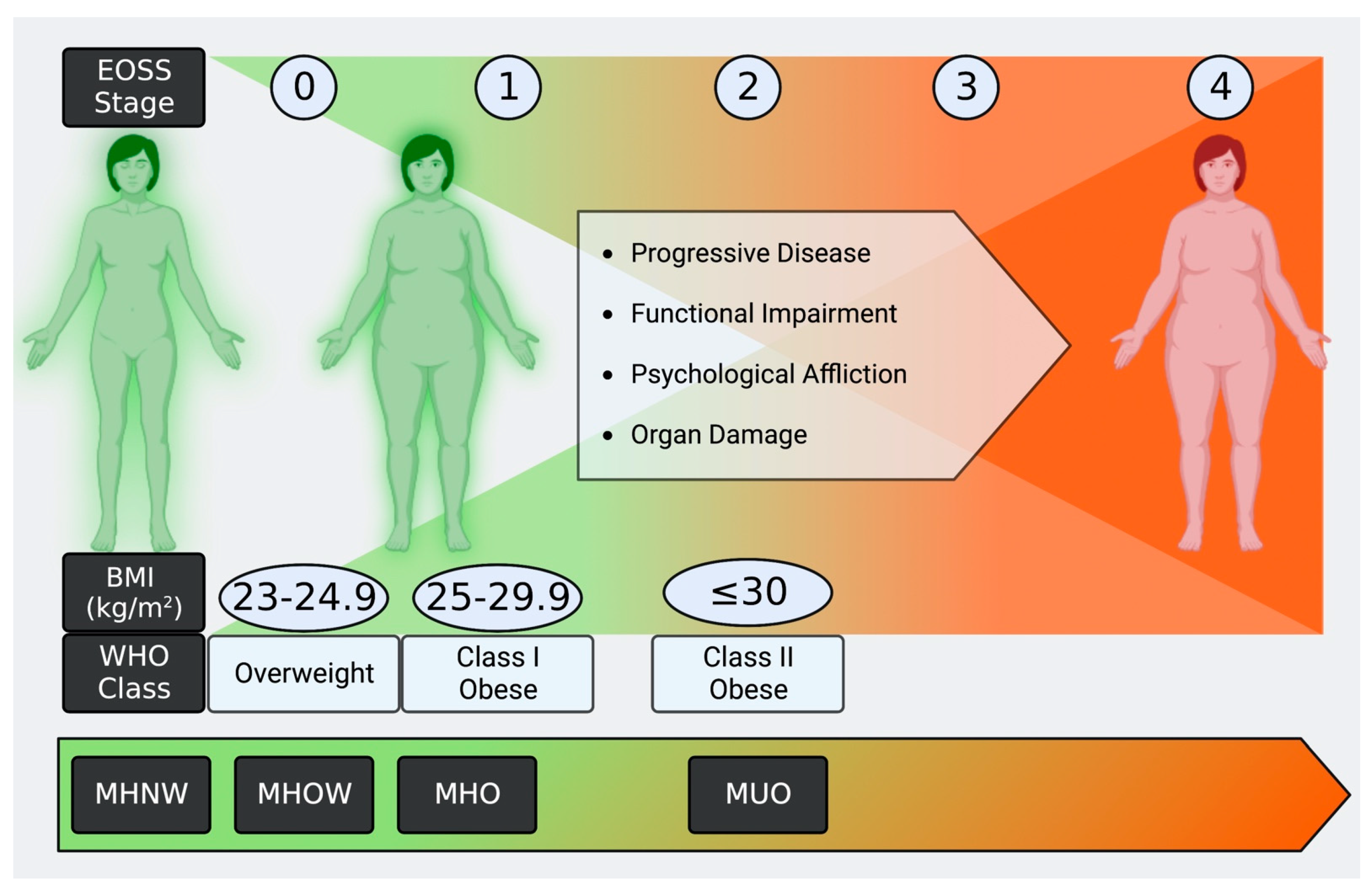 Encyclopedia Free Full Text Obesity Vs Metabolically Healthy Encyclopedia Free Full Text Obesity Vs Metabolically Healthy