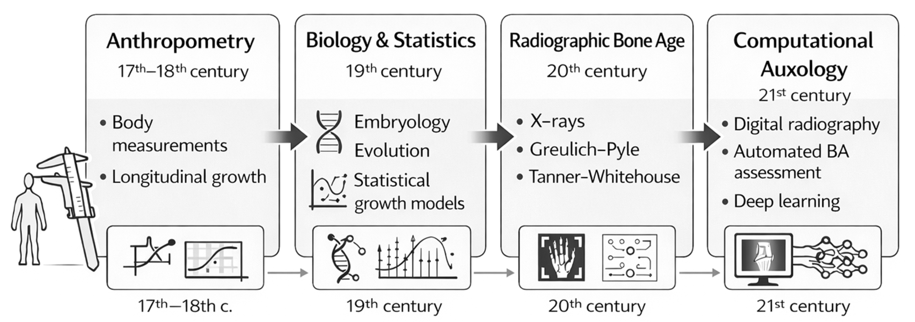 Auxology in Transition: From Anthropometric Growth Assessment to ...