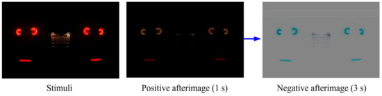 Visual Characteristics of Afterimage under Dark Surround Conditions