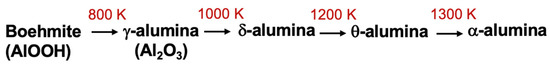The Microstructure of γ-Alumina