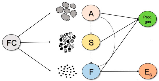 Fluidized Bed Combustion and Gasification of Fossil and Renewable ...
