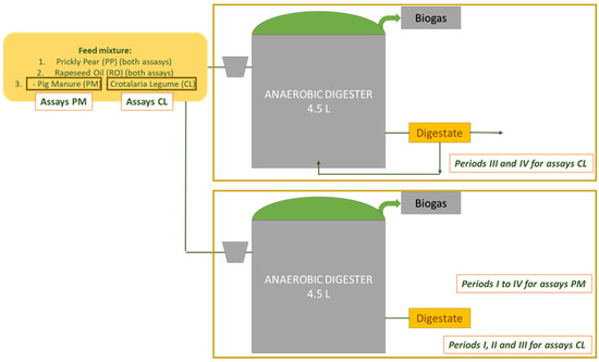 Biogas from Nitrogen-Rich Biomass as an Alternative to Animal Manure Co ...