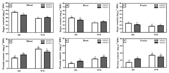 Subsurface Water Retention Technology Promotes Drought Stress Tolerance ...
