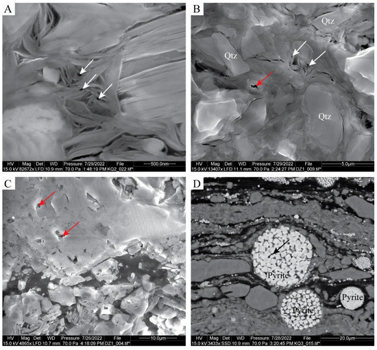 Energies | Special Issue : Sedimentary Organic Matter in Shale Oil/Gas ...