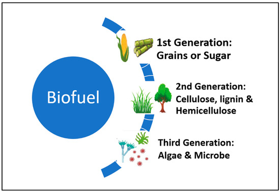 Energies | Free Full-Text | Sugarcane Biomass as a Source of Biofuel ...