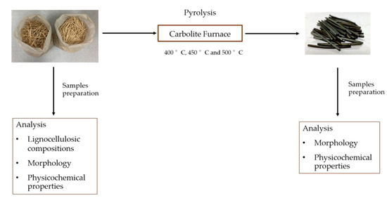 Repurposing Disposable Bamboo Chopsticks Waste as Biochar for ...