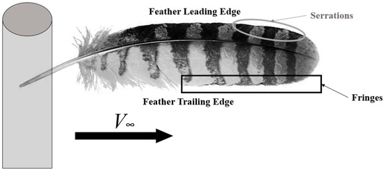 Energies | Free Full-Text | Aerodynamic Optimization of Trailing-Edge ...